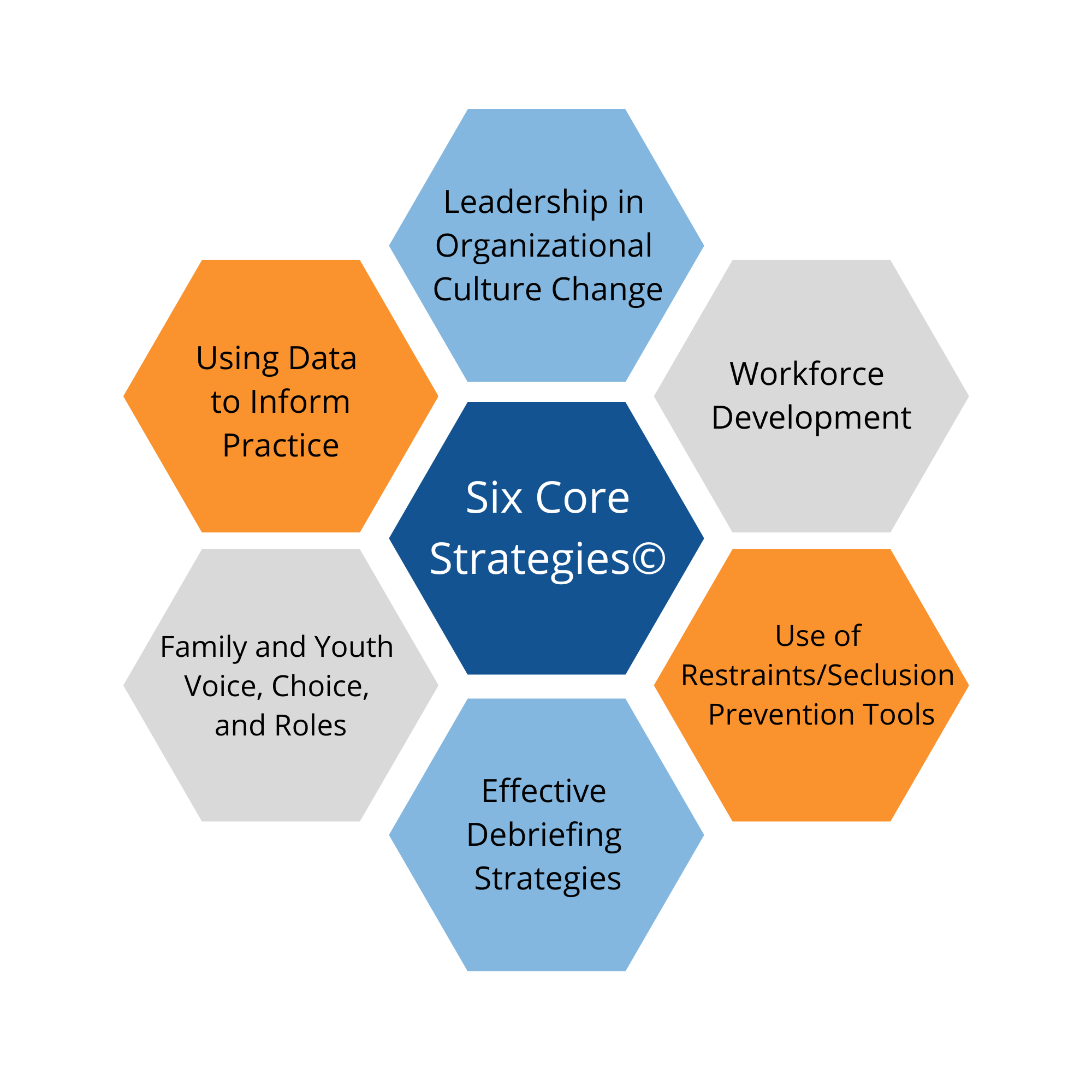 Six Core Strategies© Virtual Training Program | Association of Children ...