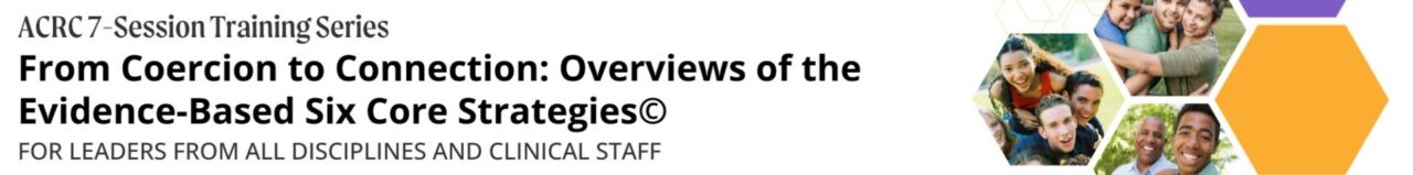 Overview of the Evidence-Based Six Core Strategies© | Association of ...